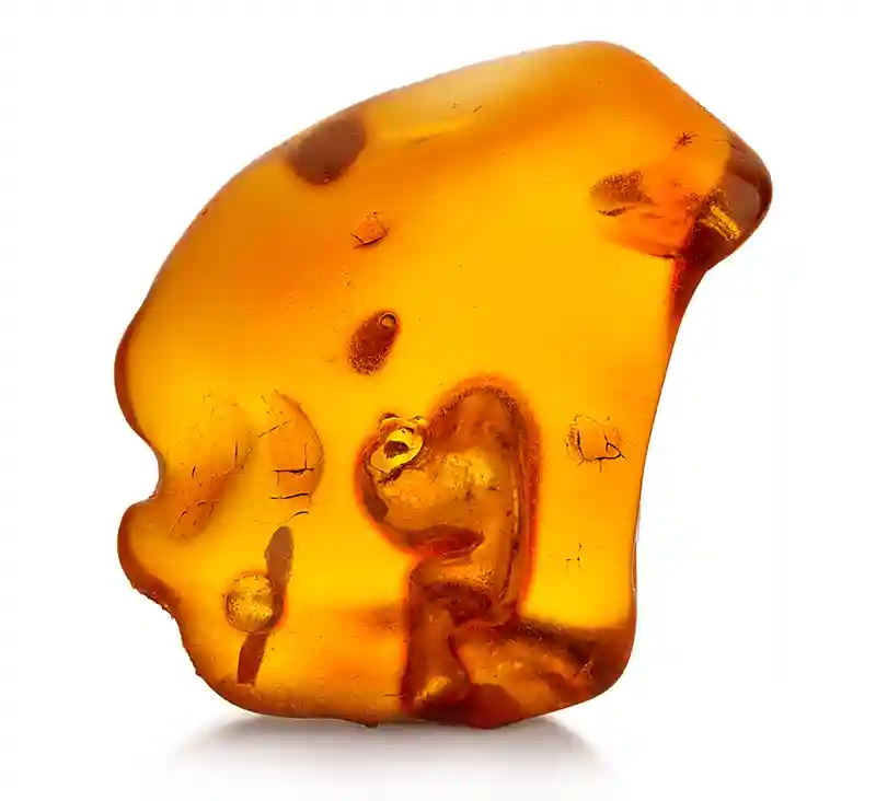 Gintaras: ne tik puošia, bet ir gydo - PatarimuPasaulis.lt